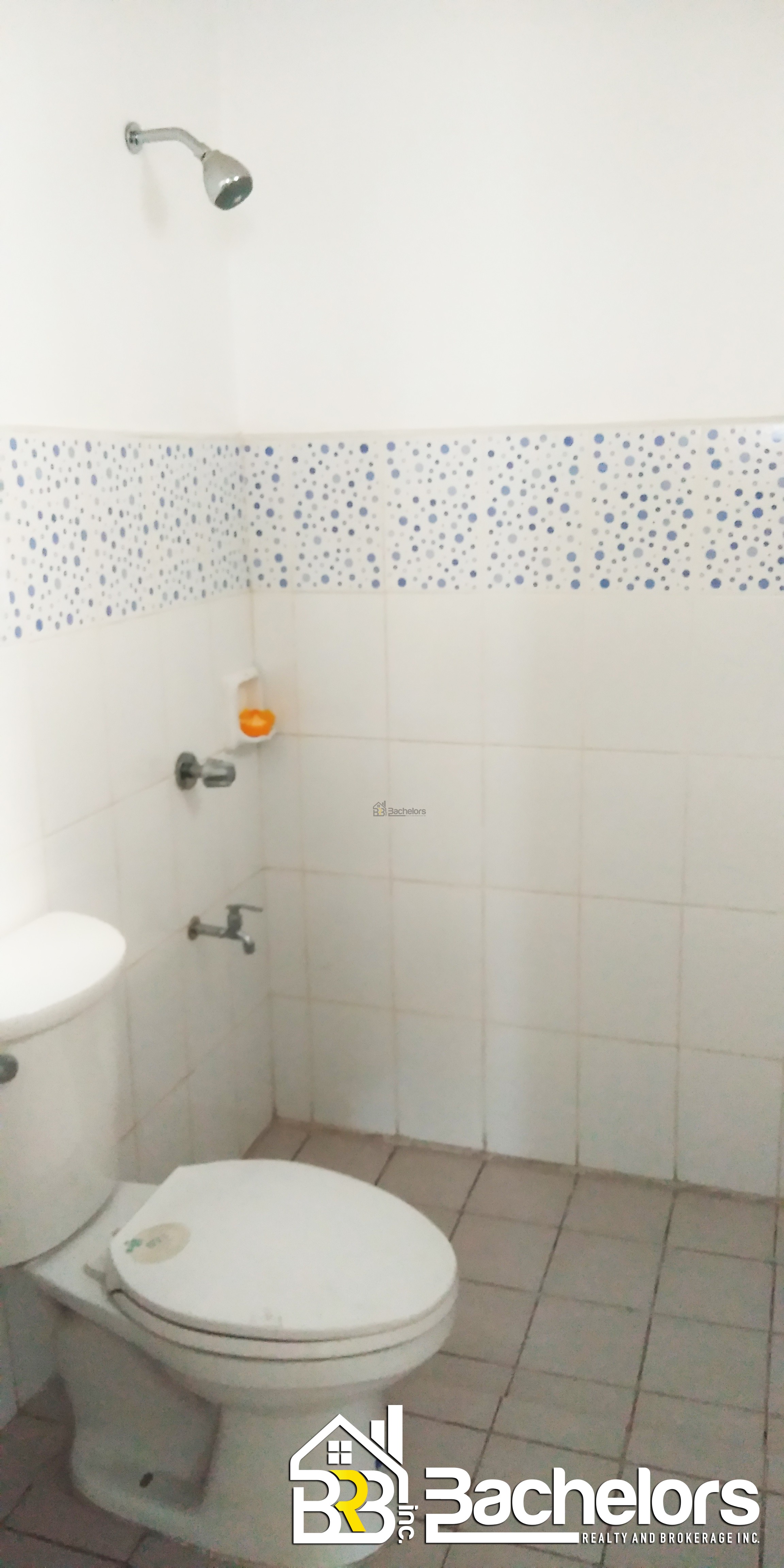 Rea Ines | Collin Ville | Joey W/ Trellis Single Dettached Iu ...