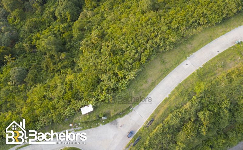 Michelle Ronquillo | The Monterrazas De Cebu | The Peaks- Lot Only ...