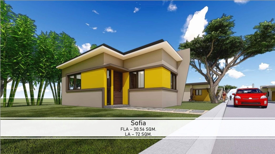 Ronaldo Ondevilla | Paradisimo - Sofia | Standard Type | Bachelors ...