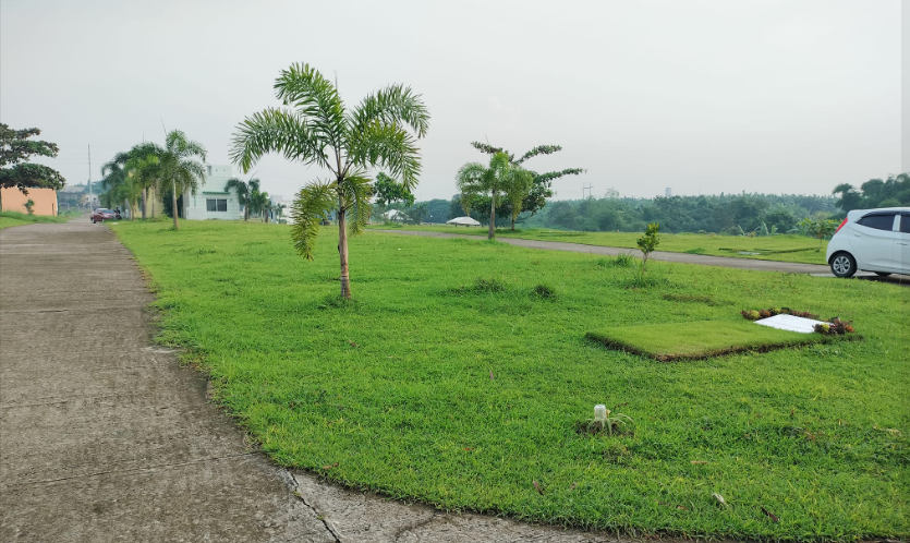 Be Helen Chua | Paradise Garden Memorial Park | Sunflower - Lawn Lot ...